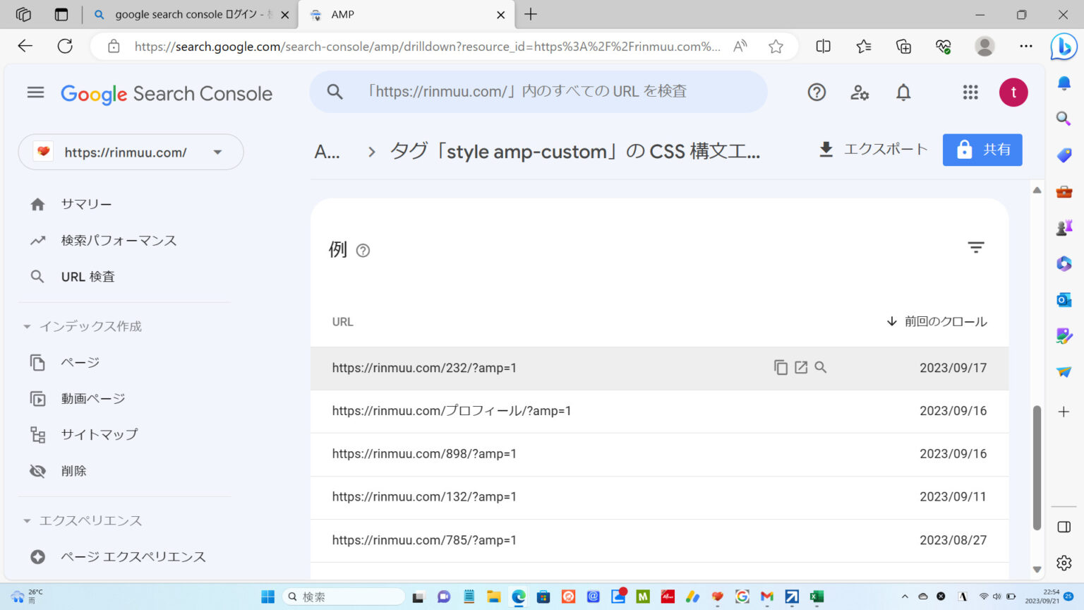 「style amp-custom」の CSS 構文エラーの修正 | りんのニャンニャン日記